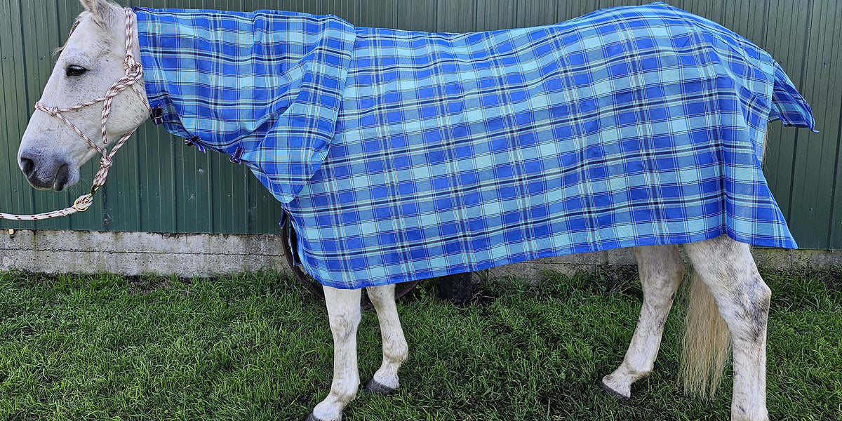 Rugs — Toprail Equine