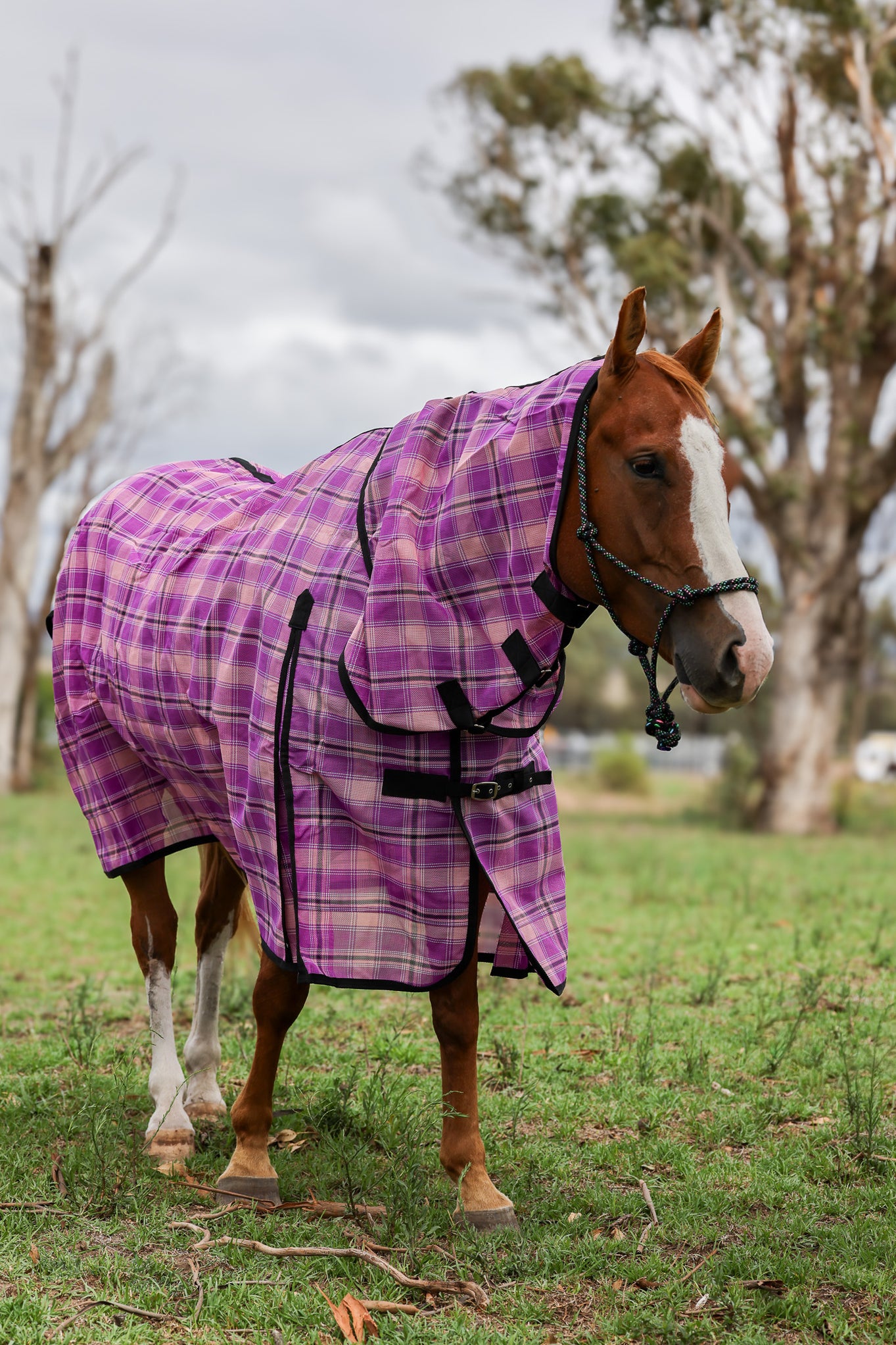 PVC Mesh Rugs (Normal Drop) — Toprail Equine