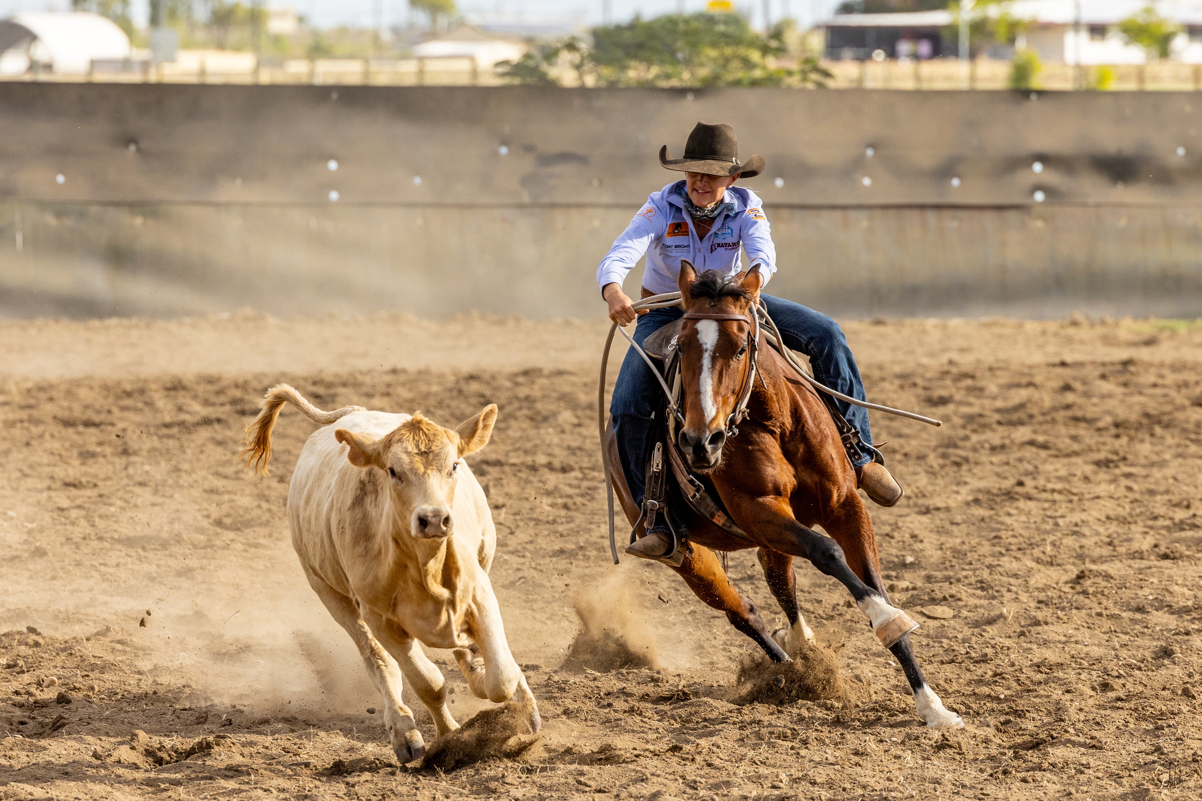 Rider — Toprail Equine
