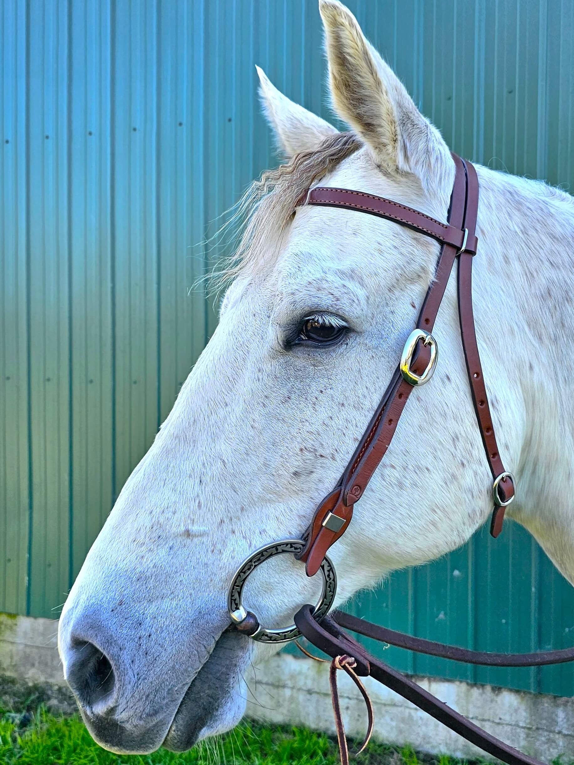 Quick Change Work Bridle — Toprail Equine
