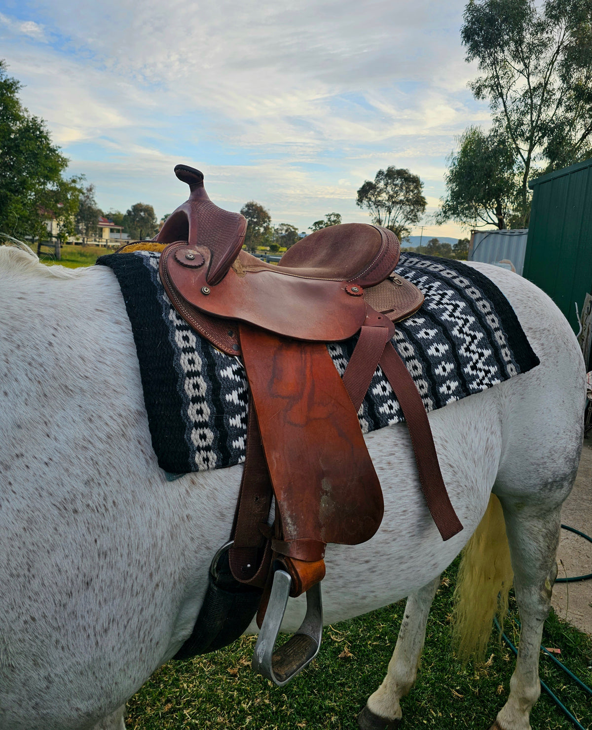 Over 600 Top Cover Western Show Pads to go over a underlay — Toprail Equine