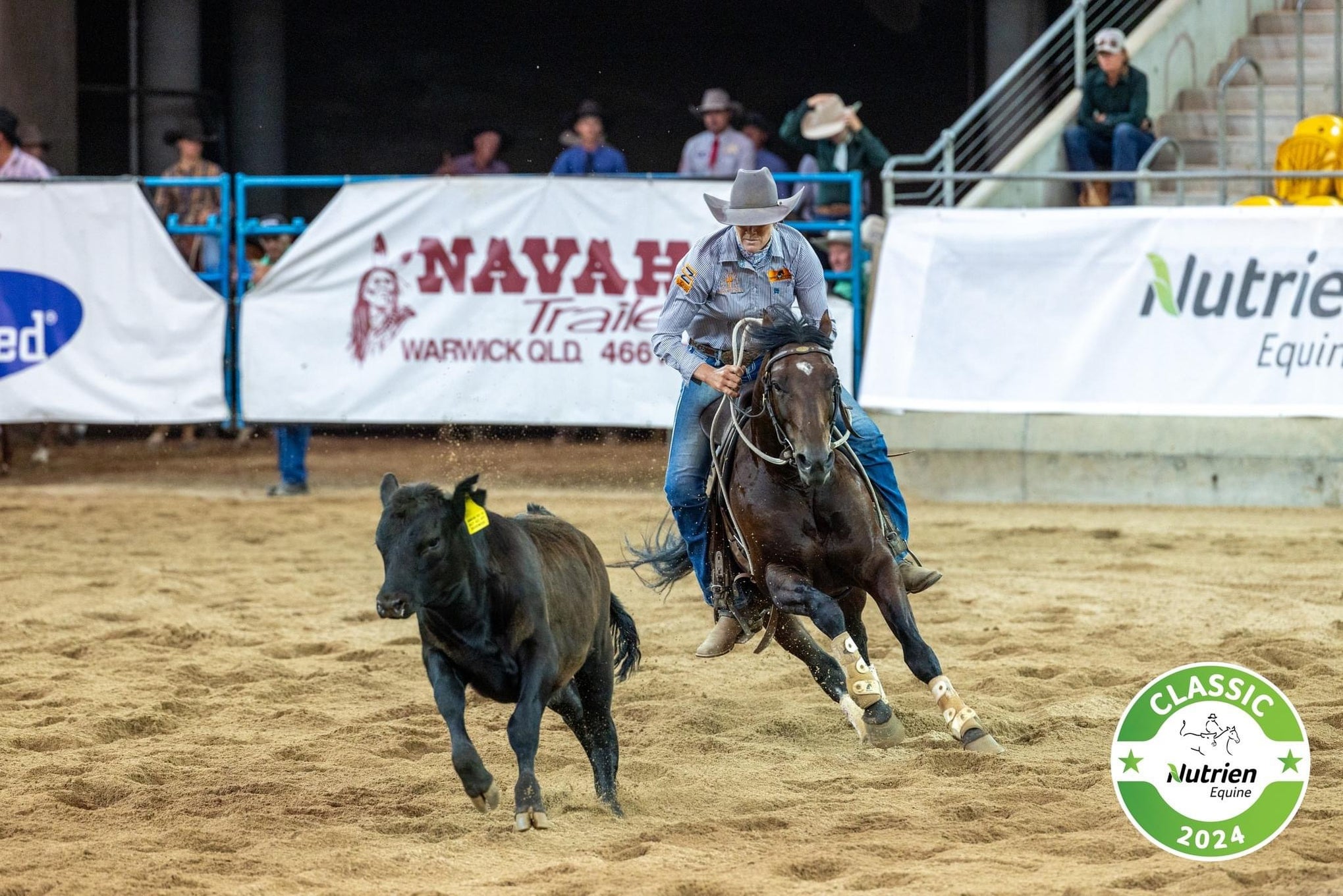 Brand Ambassadors - Toprail Equine | Australian Saddlery and Equine ...