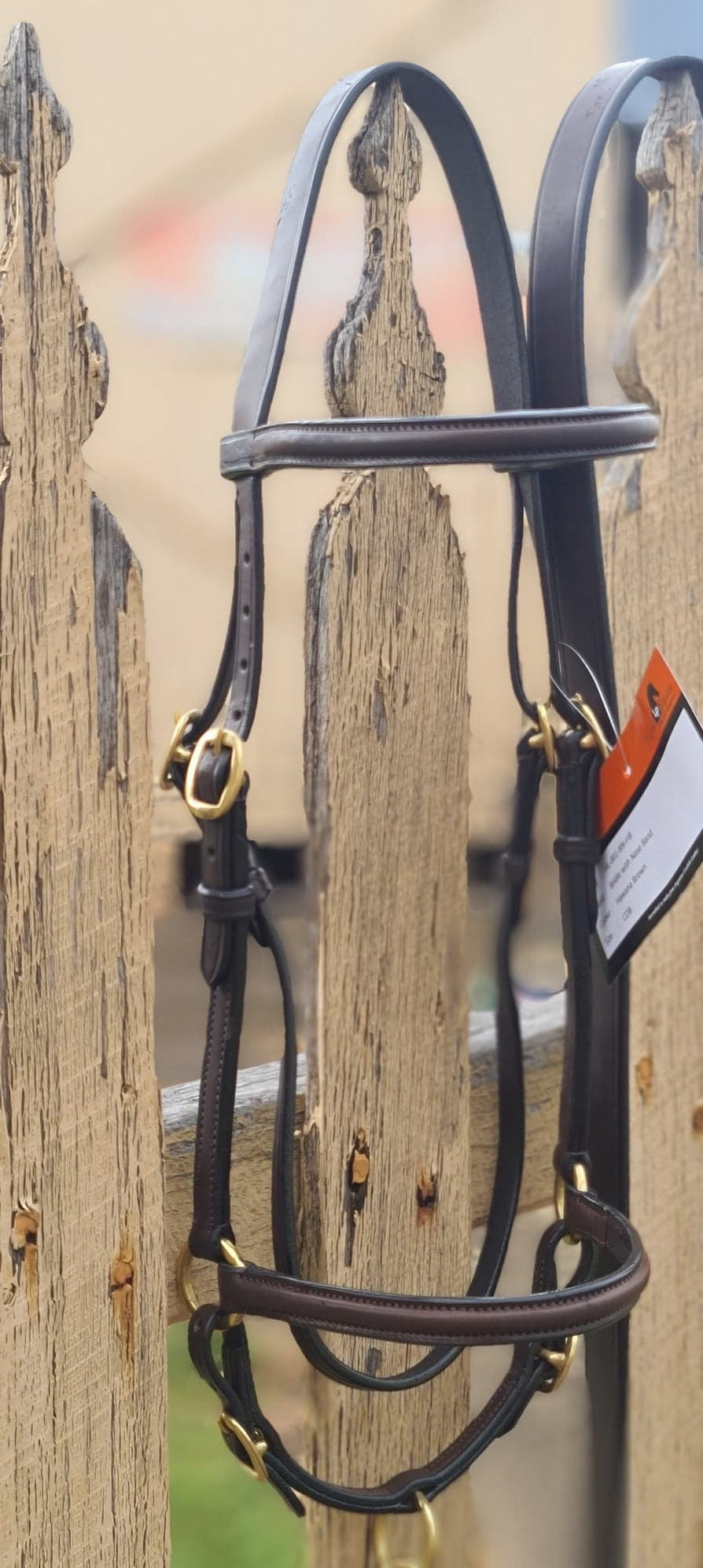 FILLY Slip - Show Filly Slip — Toprail Equine