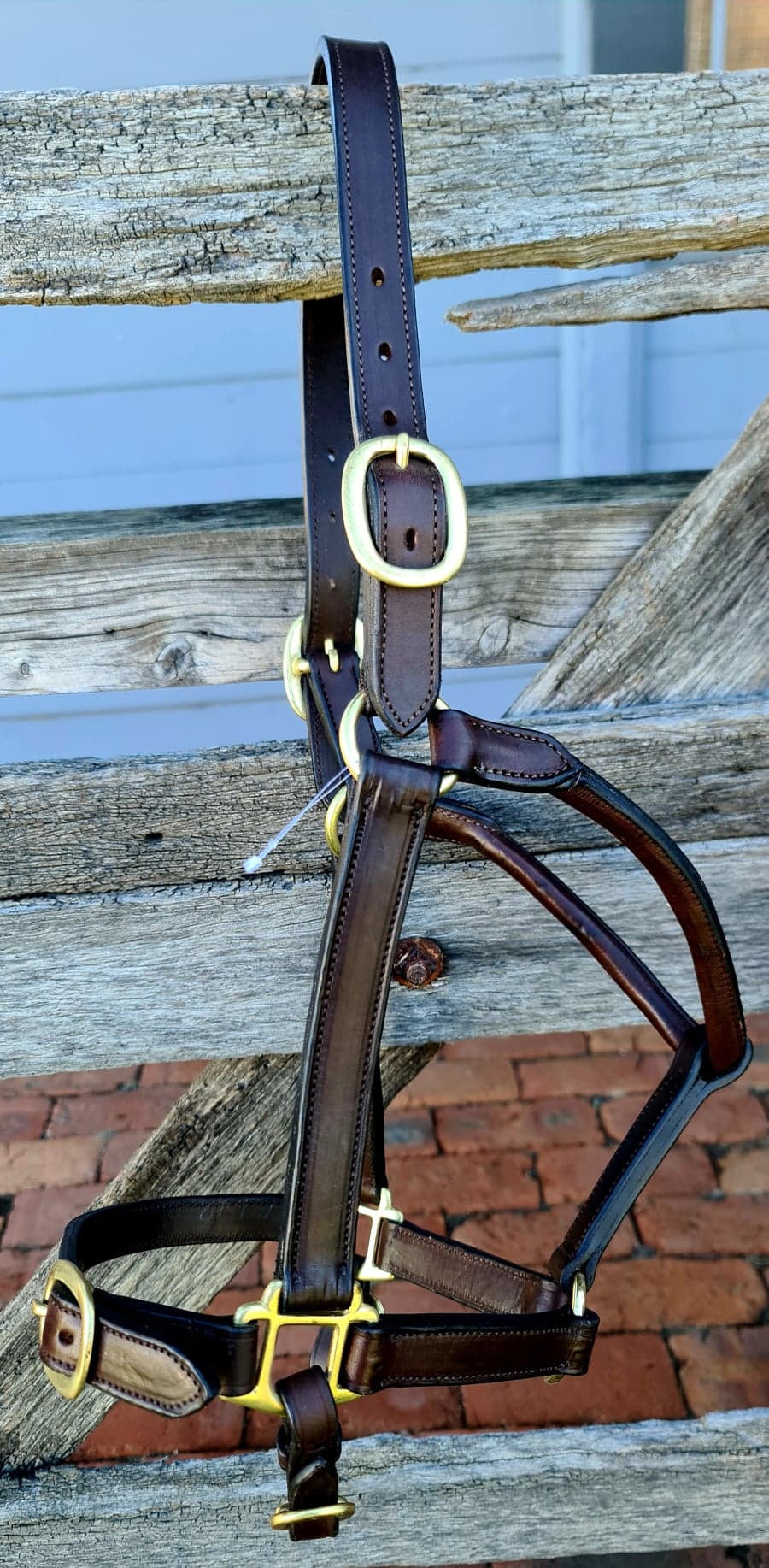 Thoroughbred Leather Yearling Halter - Colt — Toprail Equine