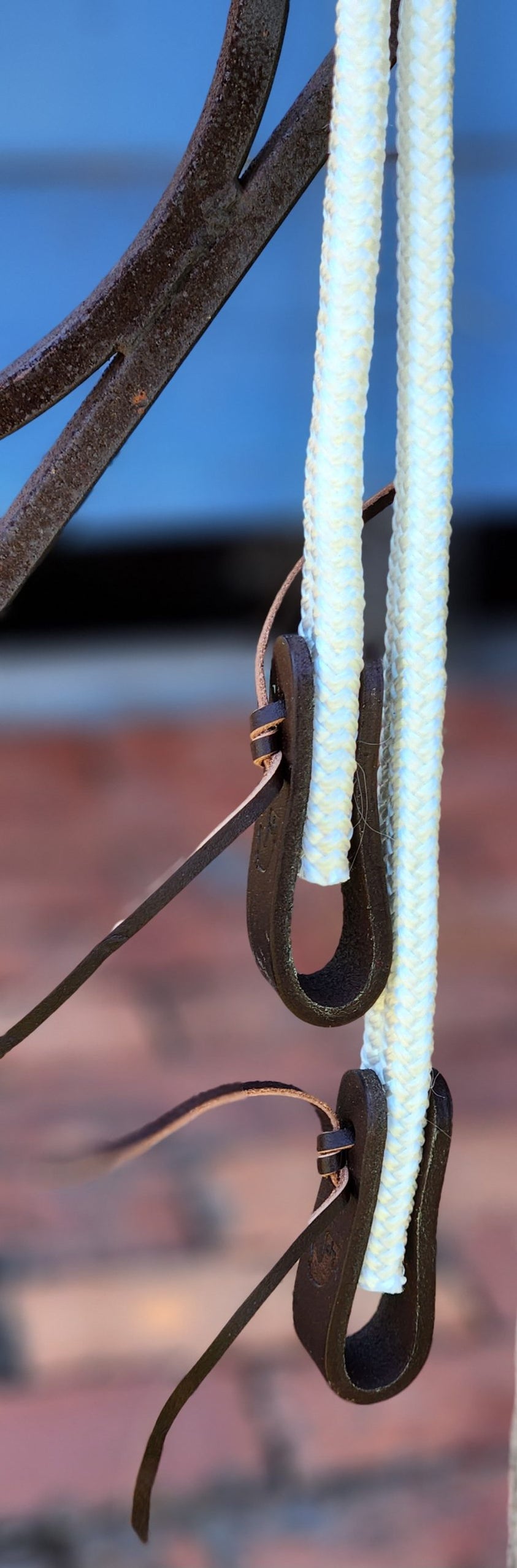 "CAMPDRAFT REINS" - with leather Waterloop ends. — Toprail Equine