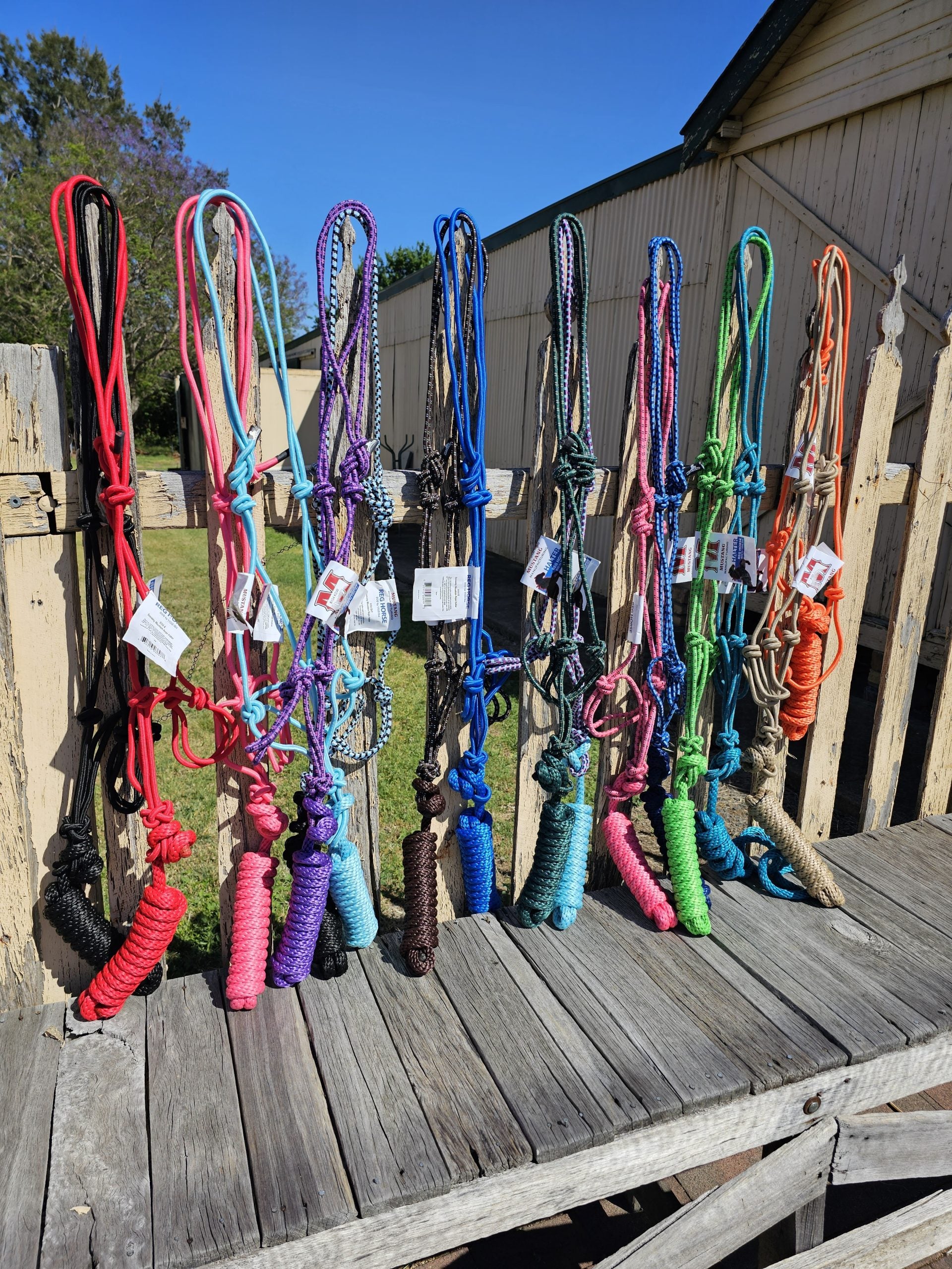 Halters & Leads — Toprail Equine