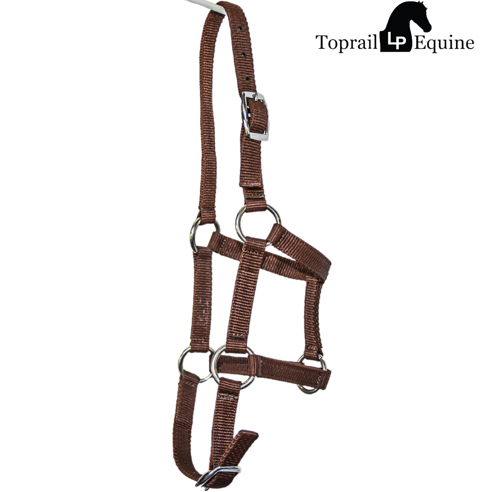 Webbing/Nylon FOAL halter — Toprail Equine